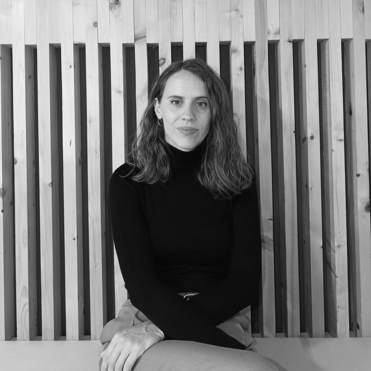 Nonica – Custom Revit Toolbars